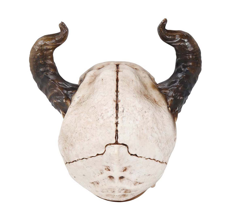 Teschio con corna 20 cm