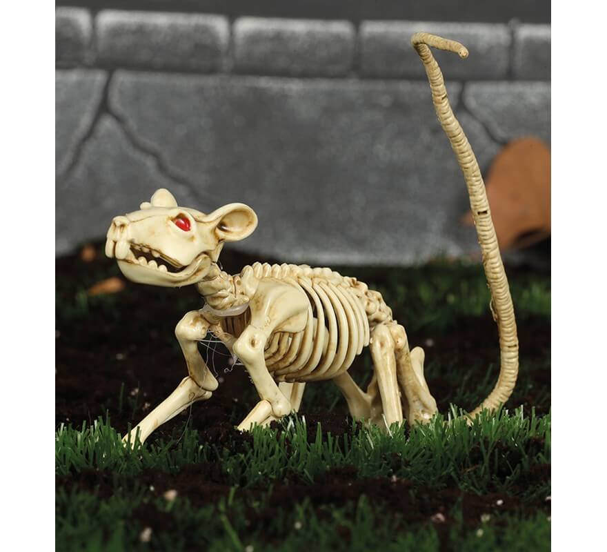 Esqueleto de Rata 20 Cm