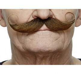 Bigote Francés rizado negro